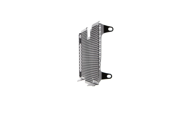 Evotech BMW R 1250 R Sport Radiator Guard (2019+) – Evotech-Performance